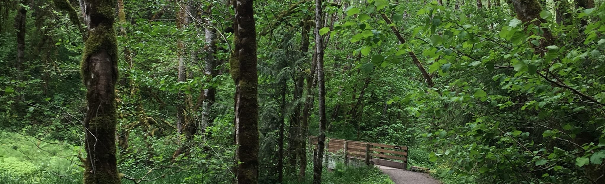 Boone's Ferry, West Horse, Cedar Loop, Oregon - 231 Reviews, Map ...