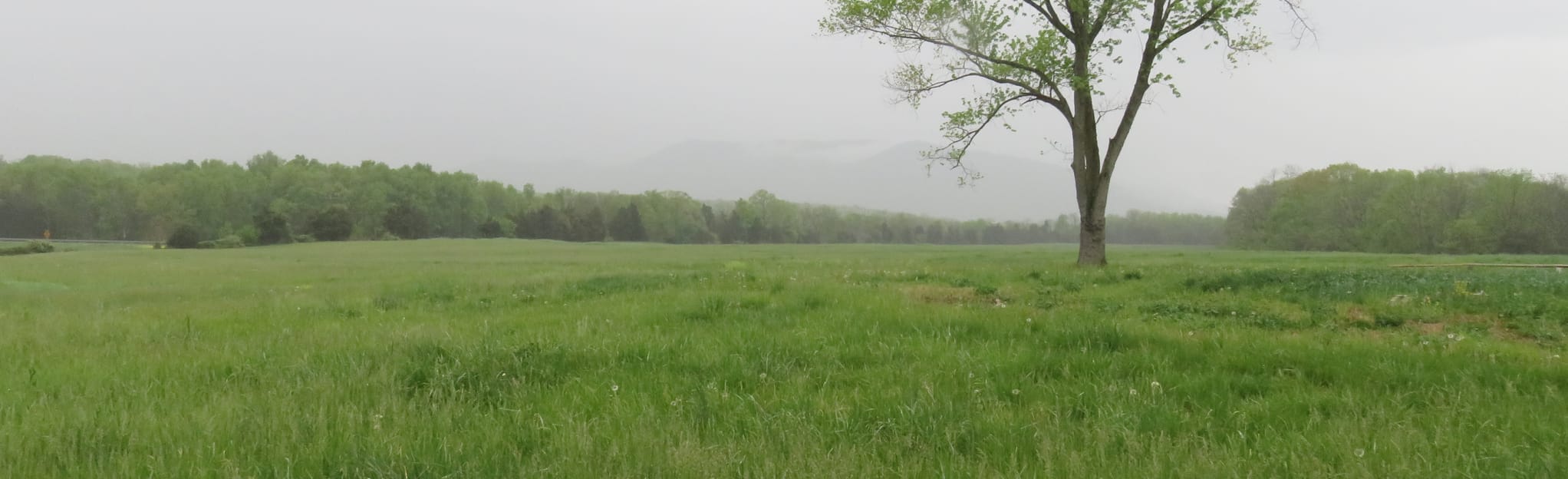 Hayes-Ramseur Loop: 16 Reviews, Map - Virginia | AllTrails