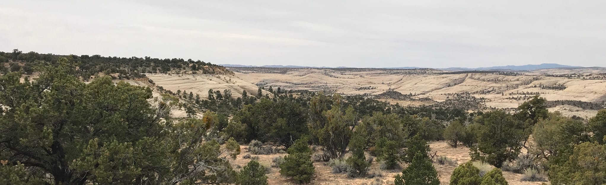 Death Hollow, Utah - 81 Reviews, Map | AllTrails