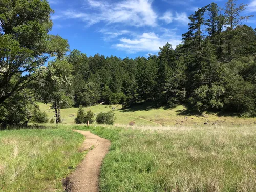 2023 Best 10 Trails and Hikes in Mill Valley | AllTrails