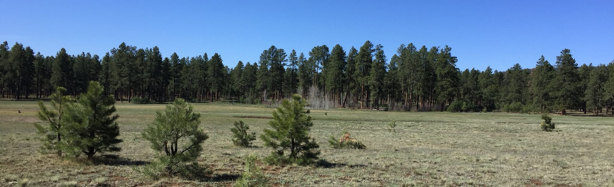 Turkey Springs, Park Avenue, and Catamount Trail Loop, Colorado - 153 ...