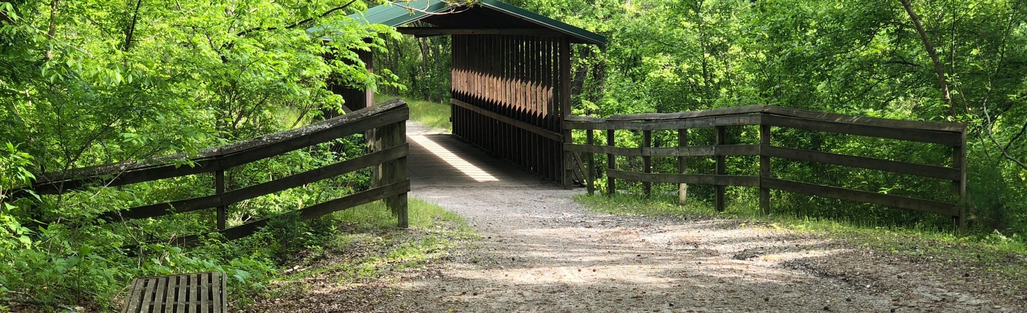 Richard Martin Trail, Alabama - 240 Reviews, Map | AllTrails