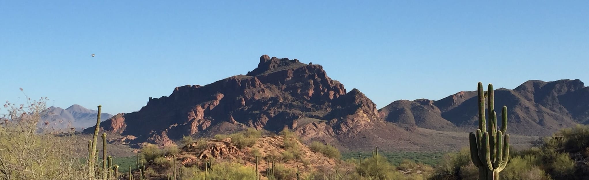 Hawes Trail to Granite Trail Loop: 607 Reviews, Map - Arizona | AllTrails