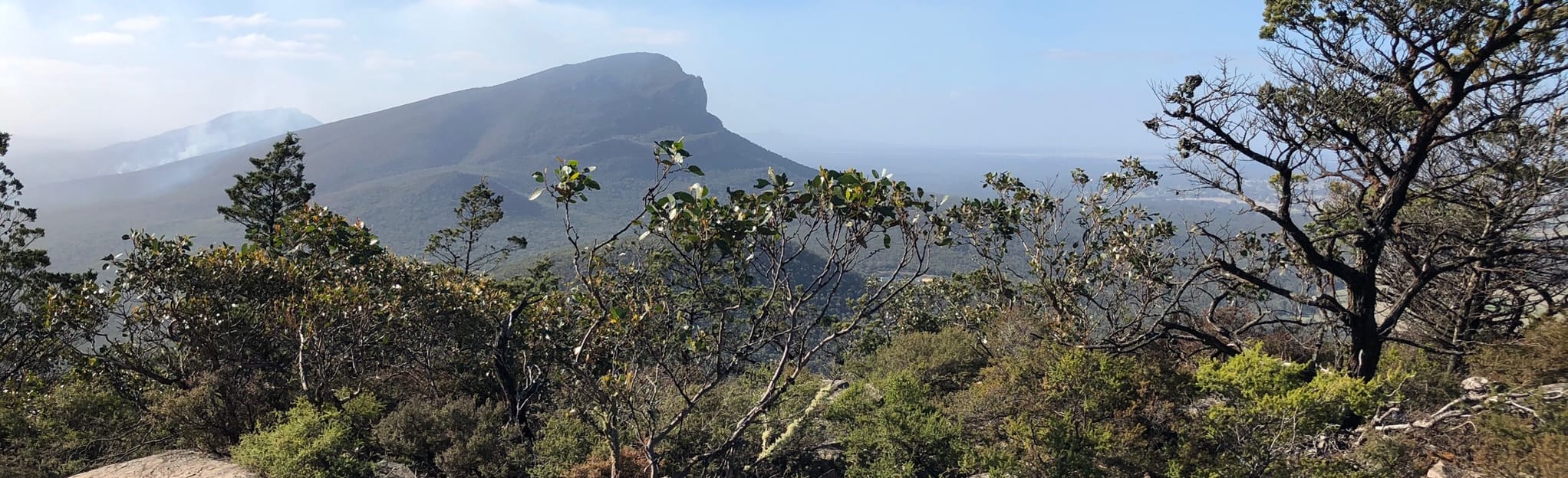 Mount Sturgeon Track, Victoria, Australia - 159 Reviews, Map | AllTrails