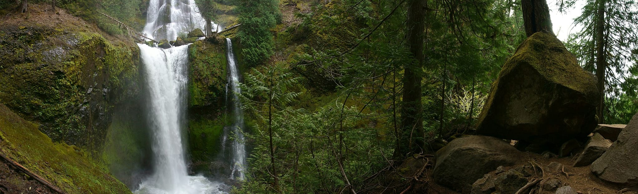 AllTrails | Falls Creek Trail Winter Route: 336 Reviews, Map - Washington