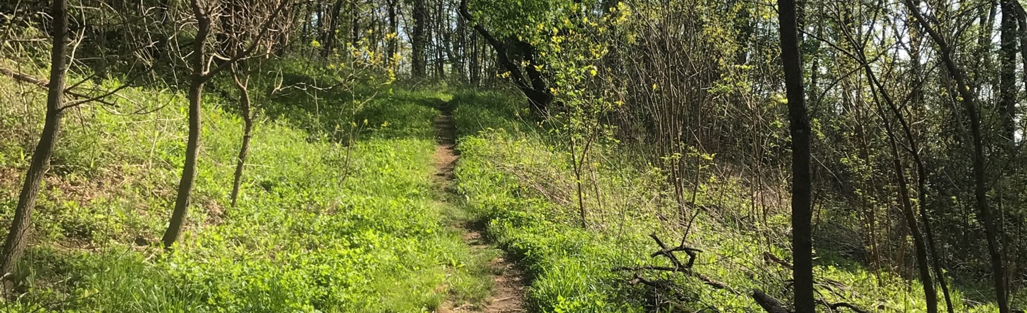 Little Lost Cove Cliffs Trail (271A) and North Harper Creek Trail (266 ...