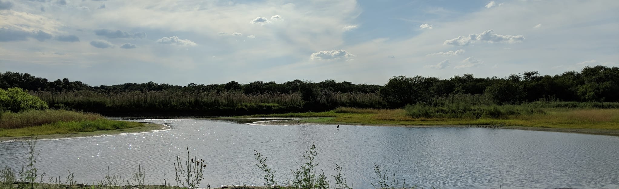 Myakka River from Park Drive, Florida - 132 Reviews, Map | AllTrails