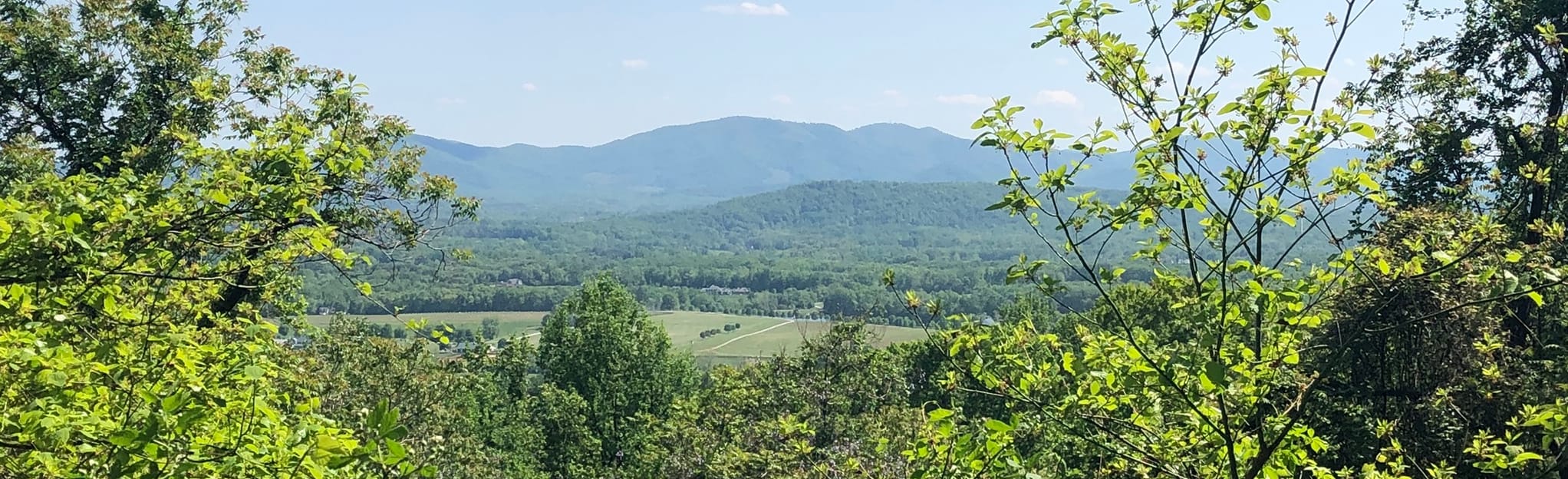 Hollow Trail and Fire Trail Loop: 197 Reviews, Map - Virginia | AllTrails