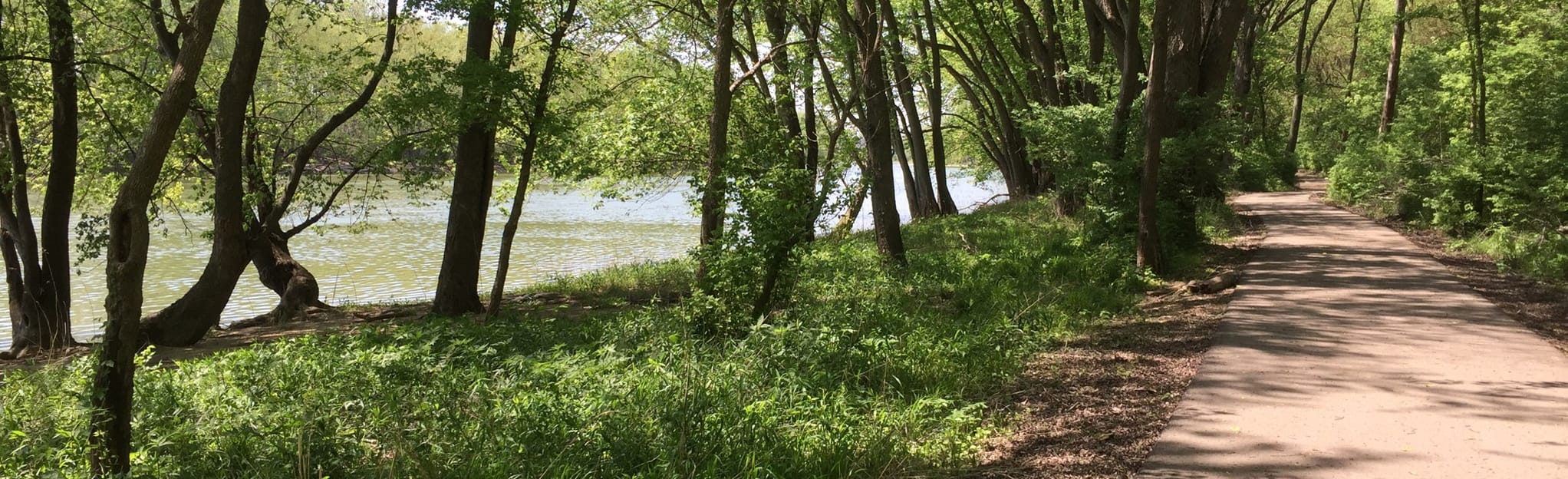 Little Turtle Trail : 90 foto's - Indiana | AllTrails