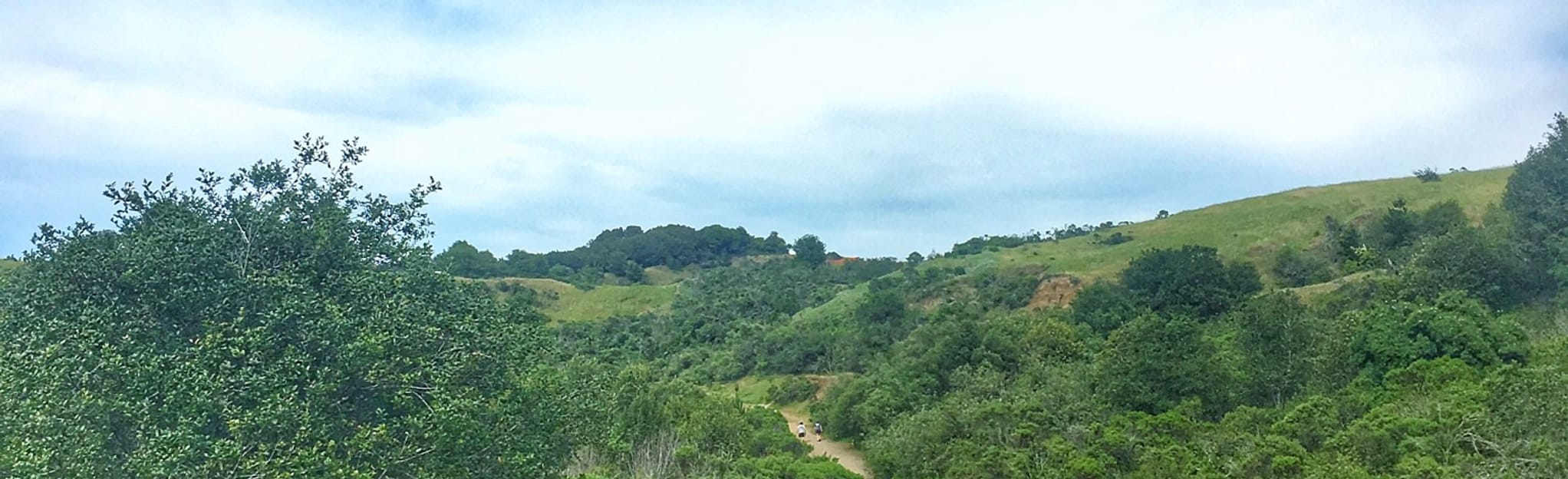 Mazzariello Labyrinth via Round Top and Skyline Trail, California - 248 ...
