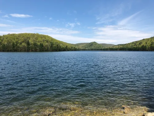 10 Best Hikes and Trails in Michaux State Forest | AllTrails