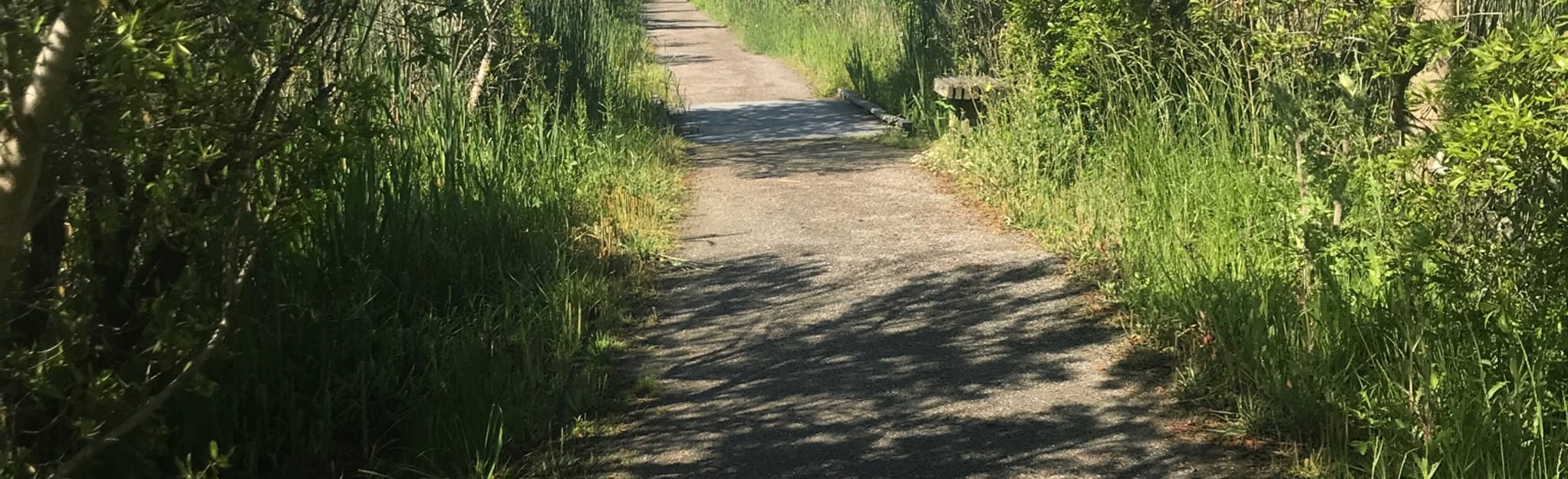 Back Bay National Wildlife Refuge Bay Trail | Map, Guide - Virginia ...