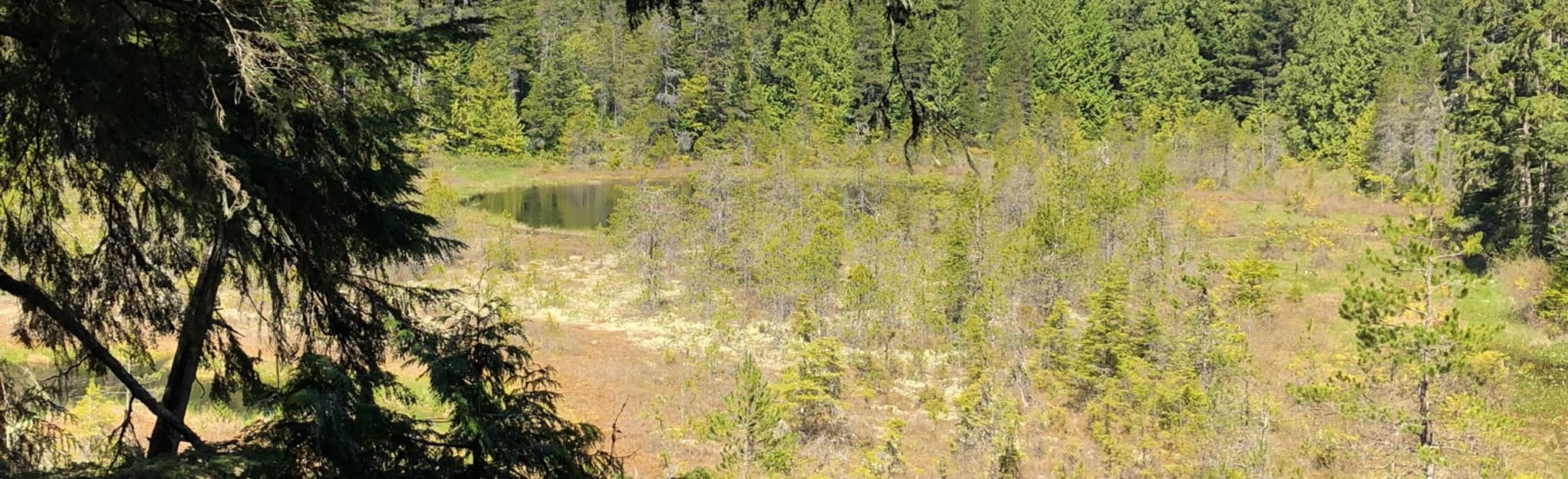 Triangle Lake Loop, British Columbia, Canada - 36 Reviews, Map | AllTrails