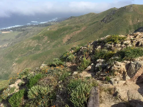 Best Hikes and Trails in Garrapata State Park | AllTrails
