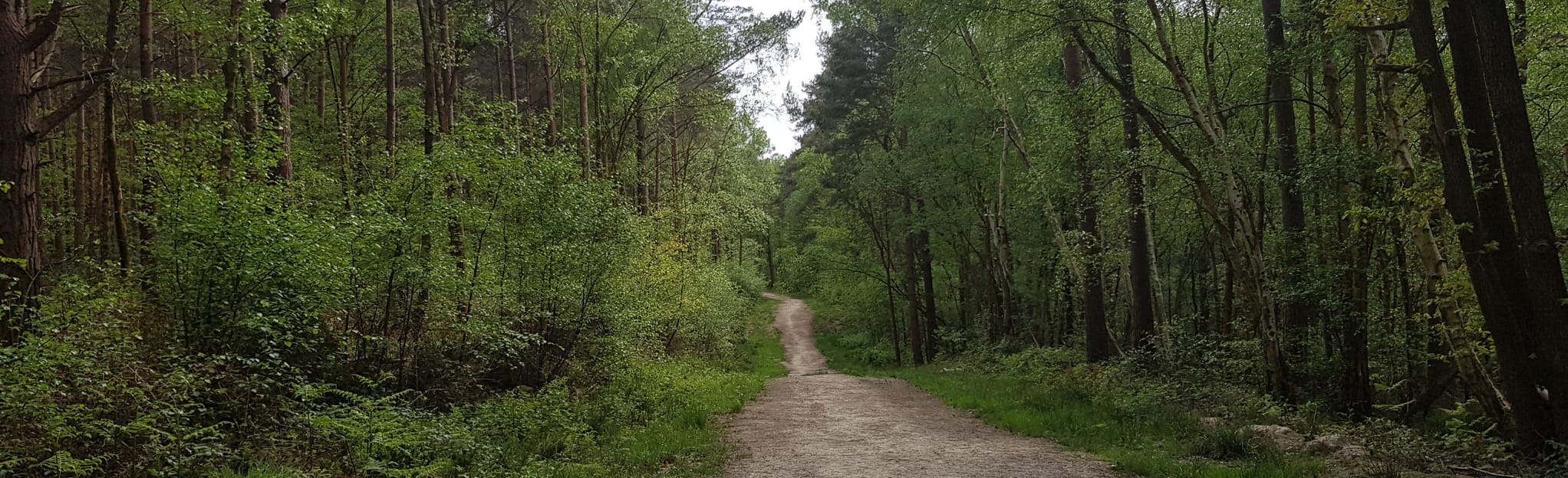 Cranbrook North Circular: 42 Reviews, Map - Kent, England | AllTrails