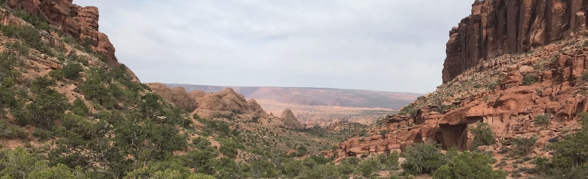 Hidden Valley to Moab Rim Trail: 980 foto's - Utah | Wandelen - AllTrails