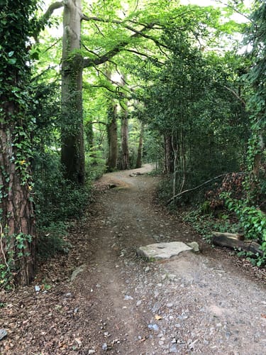 Best Hikes and Trails in Ashton Court Estate | AllTrails