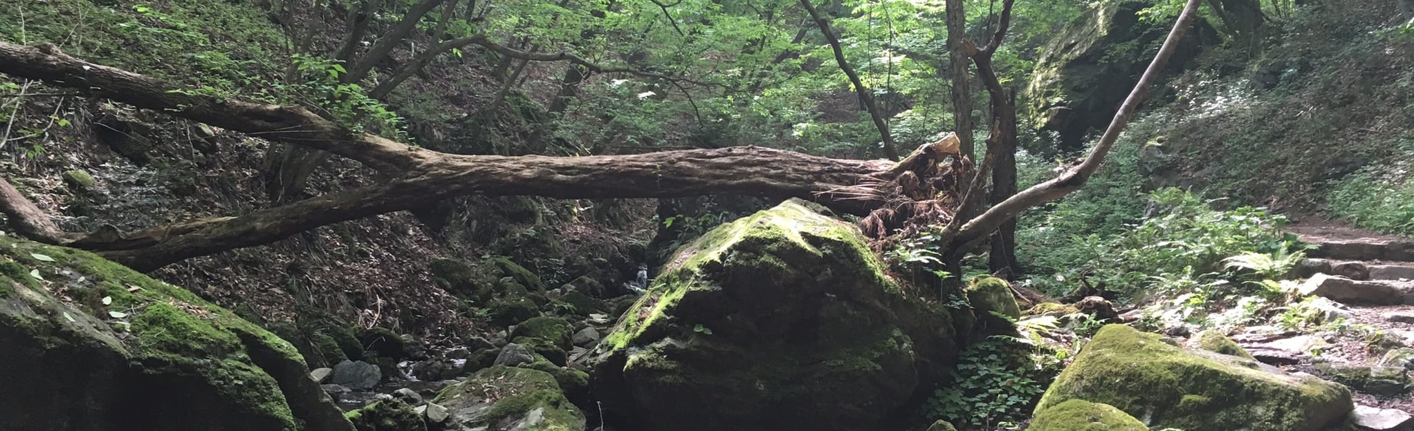 Mount Nabewari - Mount Odake - Mount Mitake Loop, 560 Photos - Tokyo ...