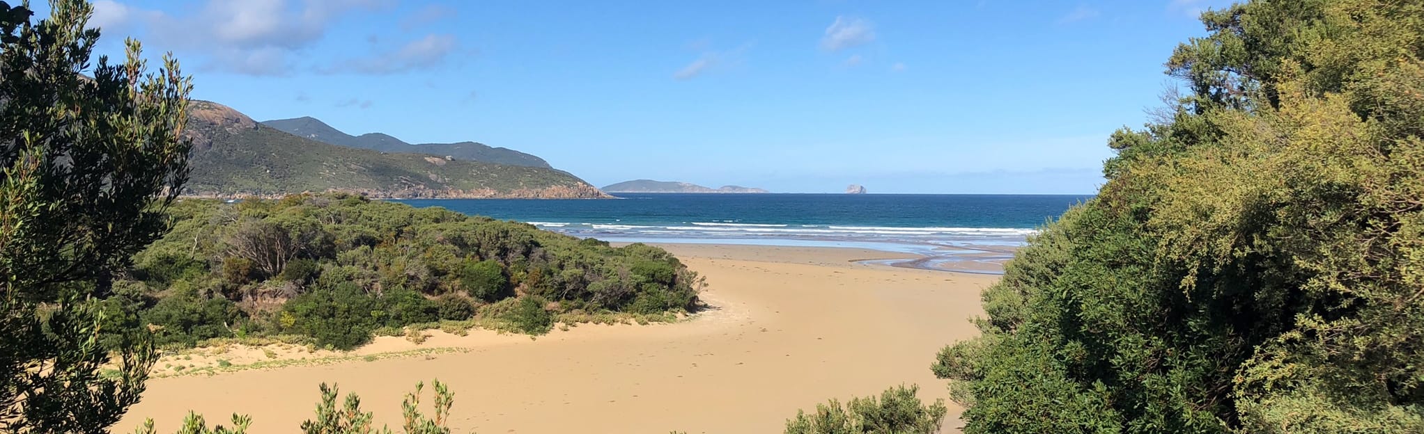 Three Bays Walk, Victoria, Australia - 99 Reviews, Map | AllTrails