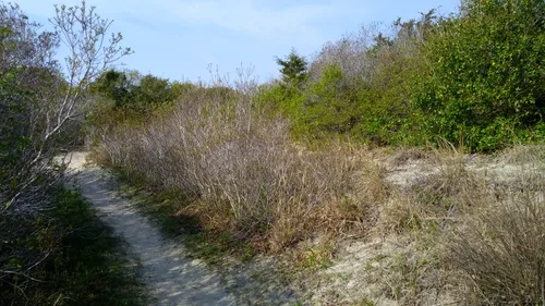 Best Hikes and Trails in Cape May National Wildlife Refuge | AllTrails