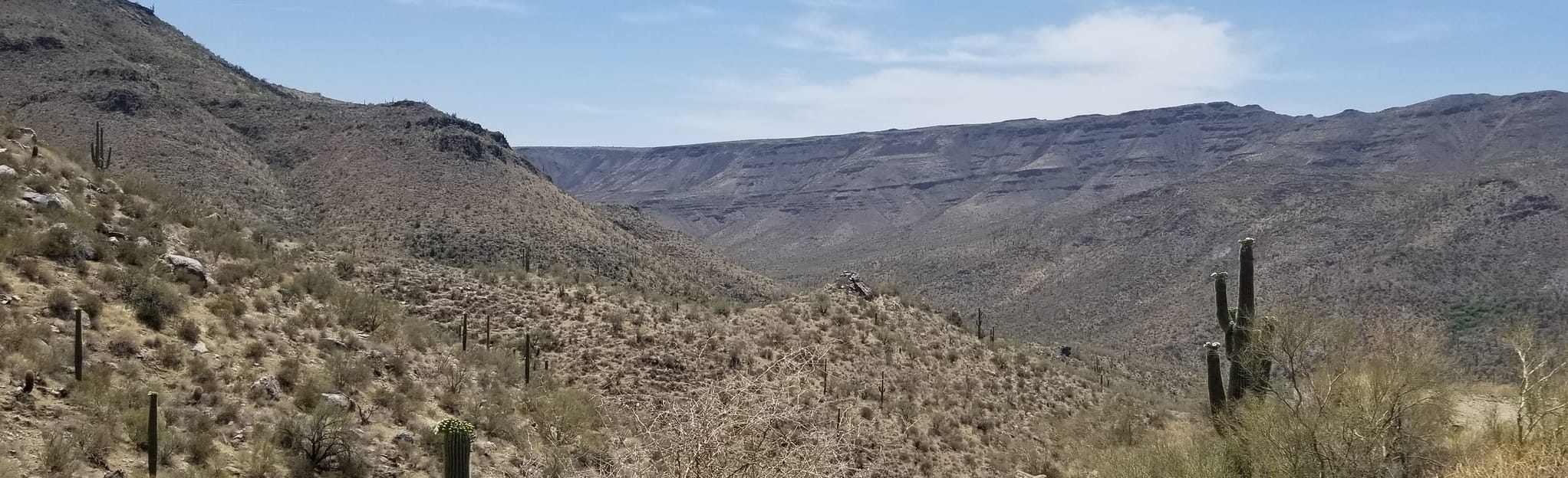 Tip Top Mine OHV Trail, Arizona - 21 Reviews, Map | AllTrails