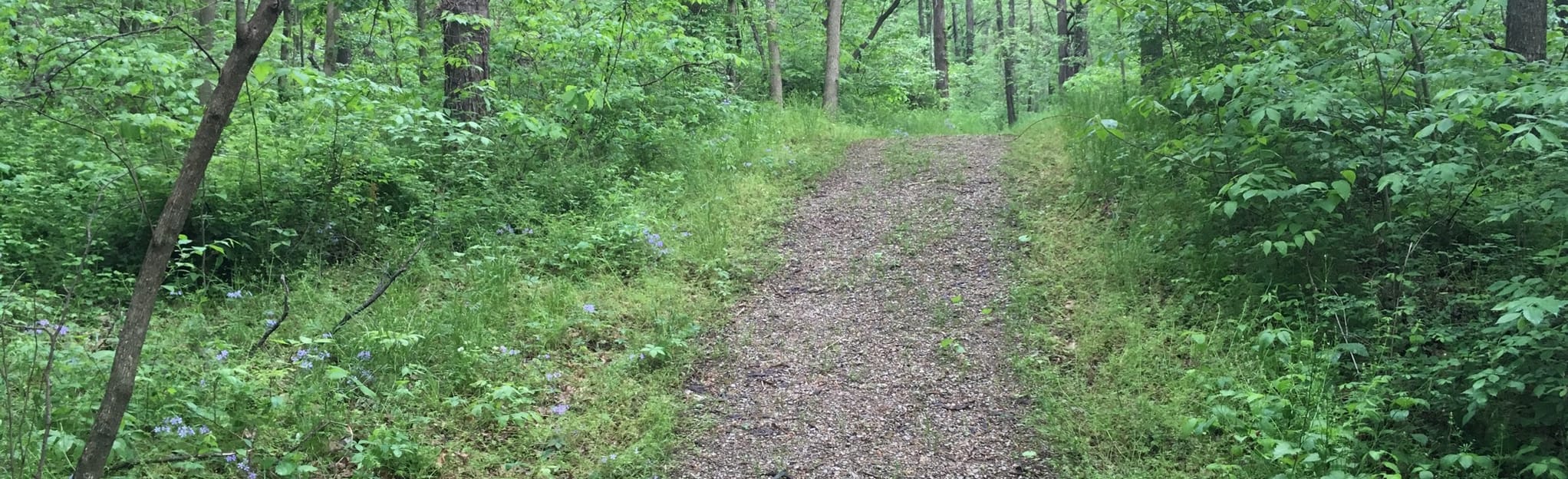 Parma Woods Conservation Area: 70 Reviews, Map - Missouri | AllTrails