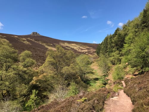 2023 Best 10 Trails, Walks, and Paths in Aberdeenshire | AllTrails