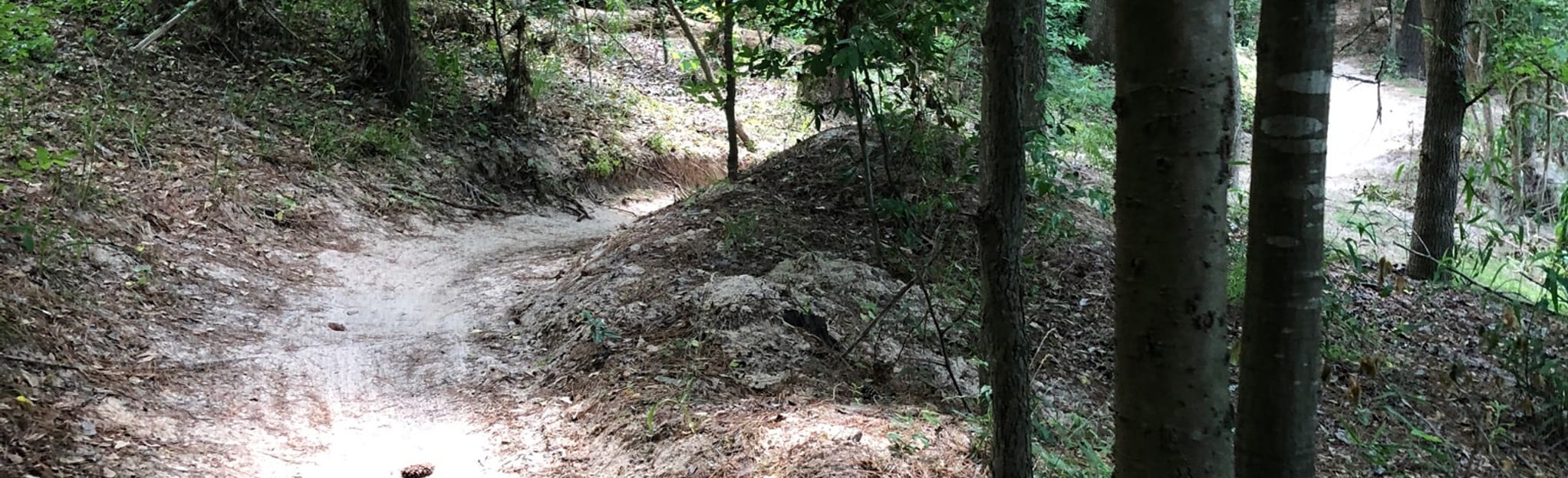 AllTrails | Cypresswood Trail: 1024 Reviews, Map - Texas