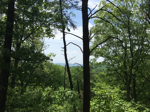 Best Hikes and Trails in Deam Lake State Recreation Area | AllTrails