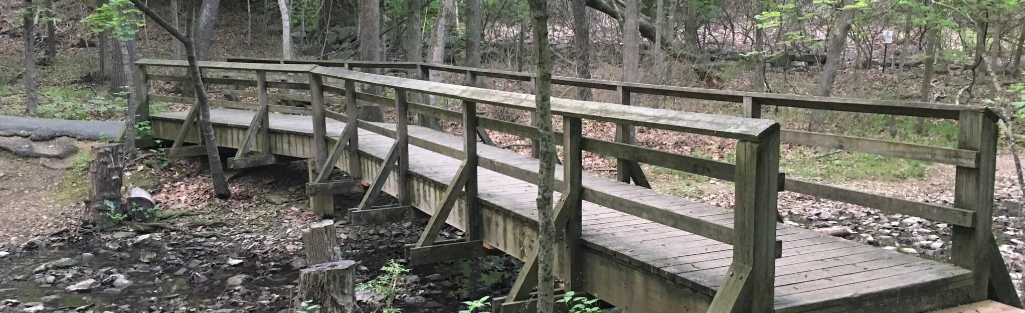 Broken Ridge, Hickory Ridge, and Tanglevine Trail Loop, Missouri - 867 ...