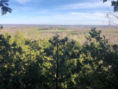 2023 Best Views Trails in Bognor Marsh Conservation Area | AllTrails