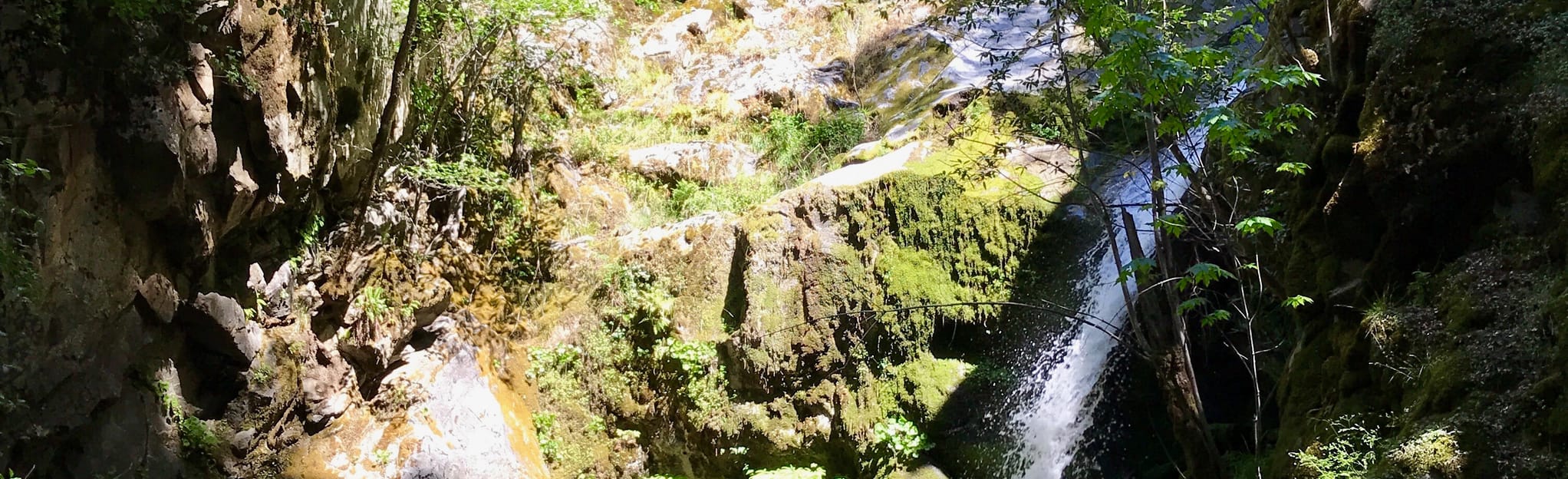 Pine Falls via Pine Ridge Trail: 43 Reviews, Map - California | AllTrails