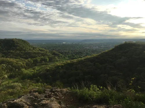 Best 10 Hikes and Trails in Hixon Forest | AllTrails