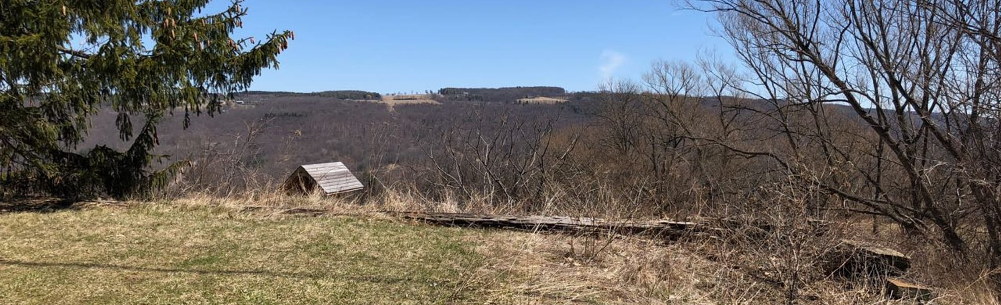 Fischer Old Growth Forest Trail: 34 Reviews, Map - New York | AllTrails