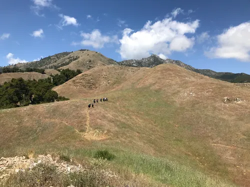 10 Best Hikes and Trails in Ventana Wilderness | AllTrails