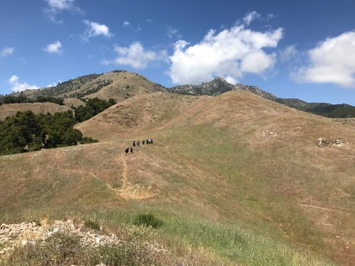 2023 Best 10 Backpacking Trails in Ventana Wilderness | AllTrails