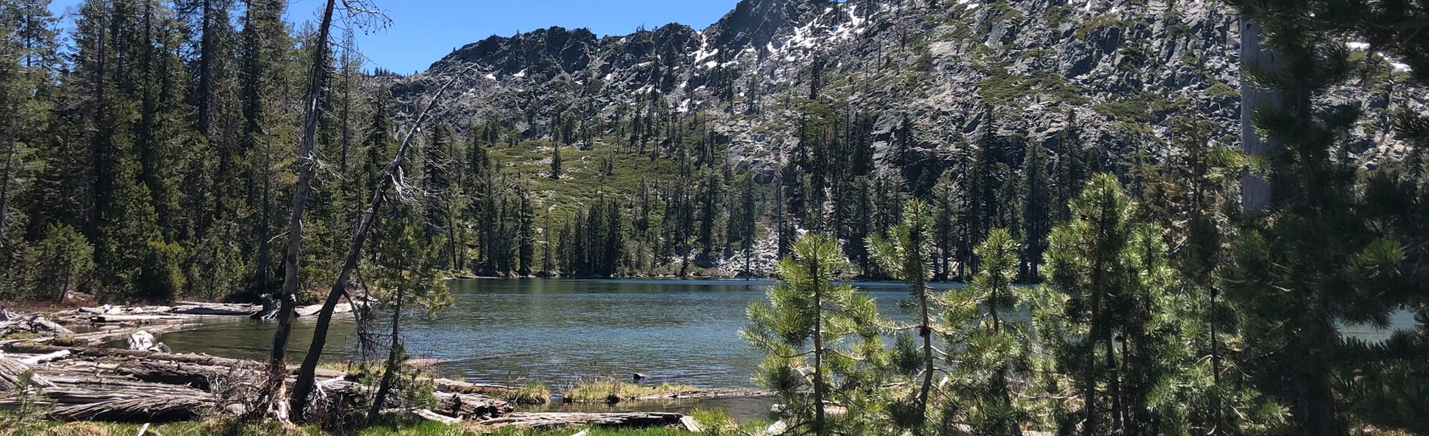 Tamarack Lake, California - 6 Reviews, Map | AllTrails