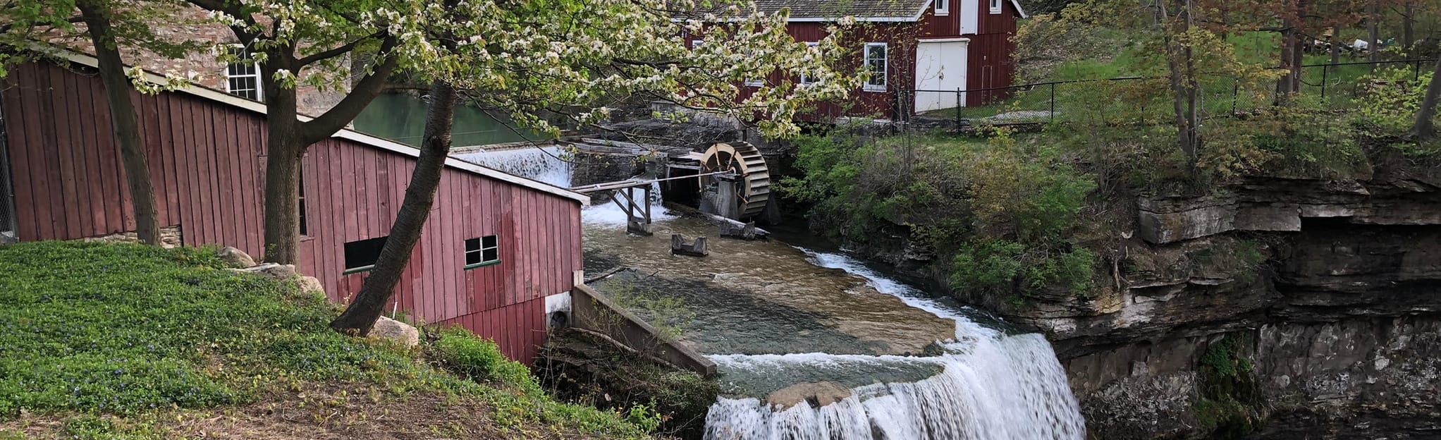 Decew Falls Loop, Ontario, Canada - 356 Reviews, Map | AllTrails