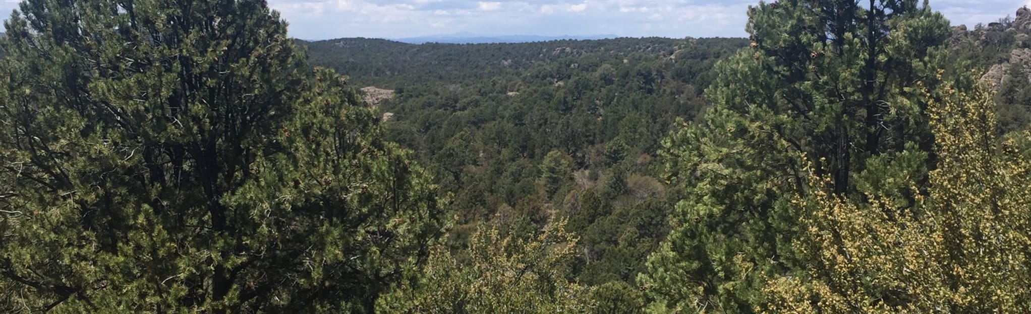 White Rocks, Utah - 20 Reviews, Map | AllTrails