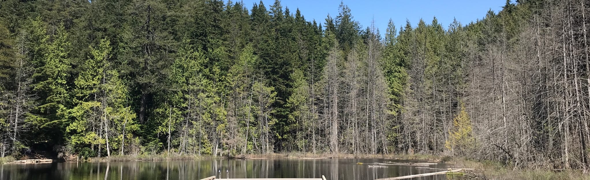 Cypress Falls and Whyte Lake Loop: 2.002 foto - British Columbia ...