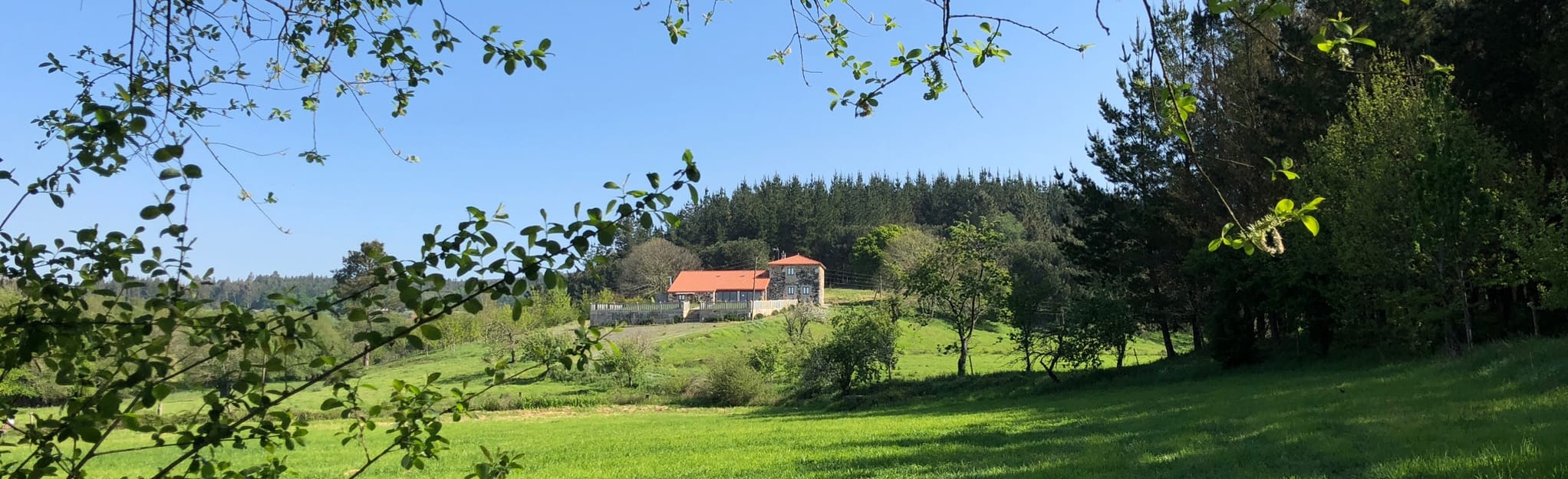 French Way: Portomarín - Melide, Lugo, Spain - 43 Reviews, Map | AllTrails