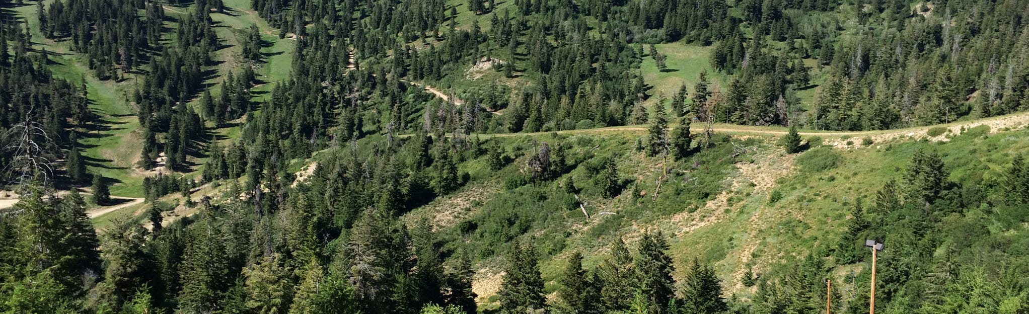 Bogus Basin Loop Trail, Idaho - 231 Reviews, Map | AllTrails