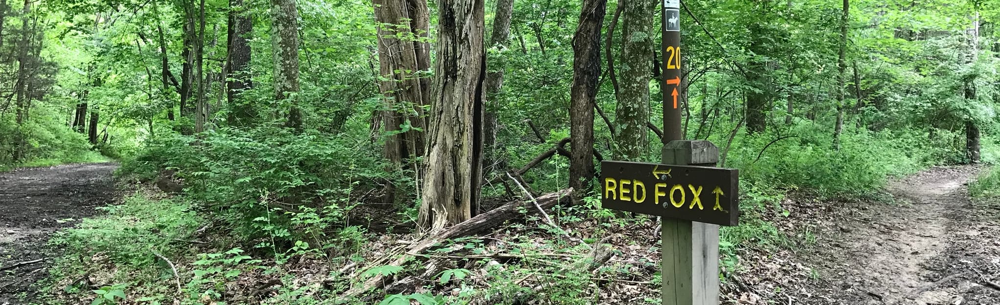 Twin Bridges, Red Fox, Cascades Trail Loop, Ohio - 107 Reviews, Map ...