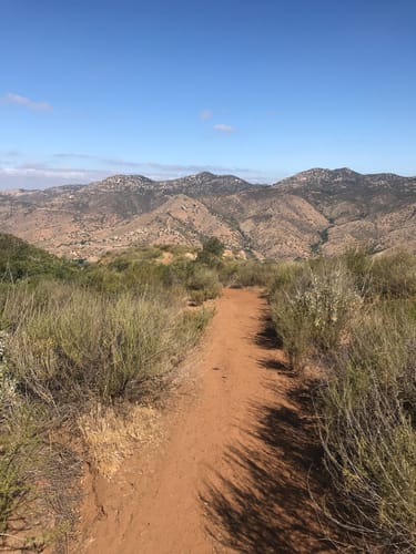 2023 Best trails in El Monte County Park | AllTrails