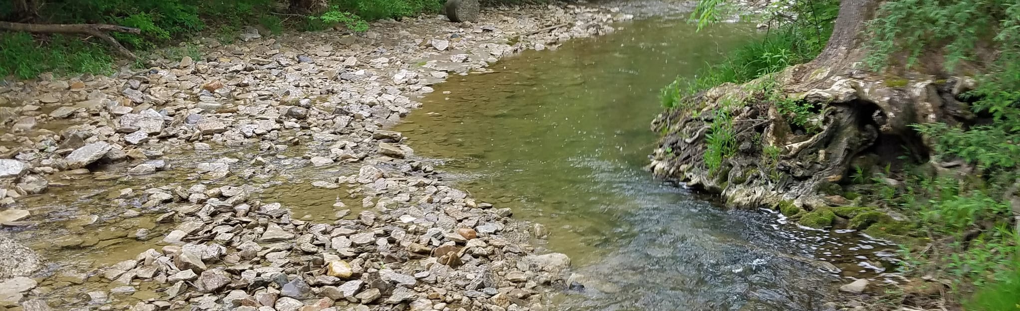 Templeton Creek, Indiana - 45 Reviews, Map | AllTrails