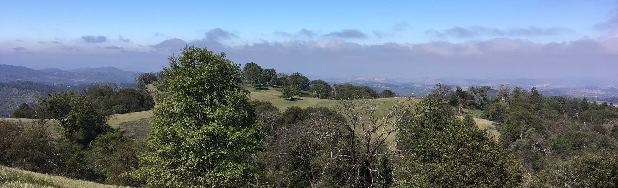 Volcan Mountain Trail, California - 3,689 Reviews, Map | AllTrails