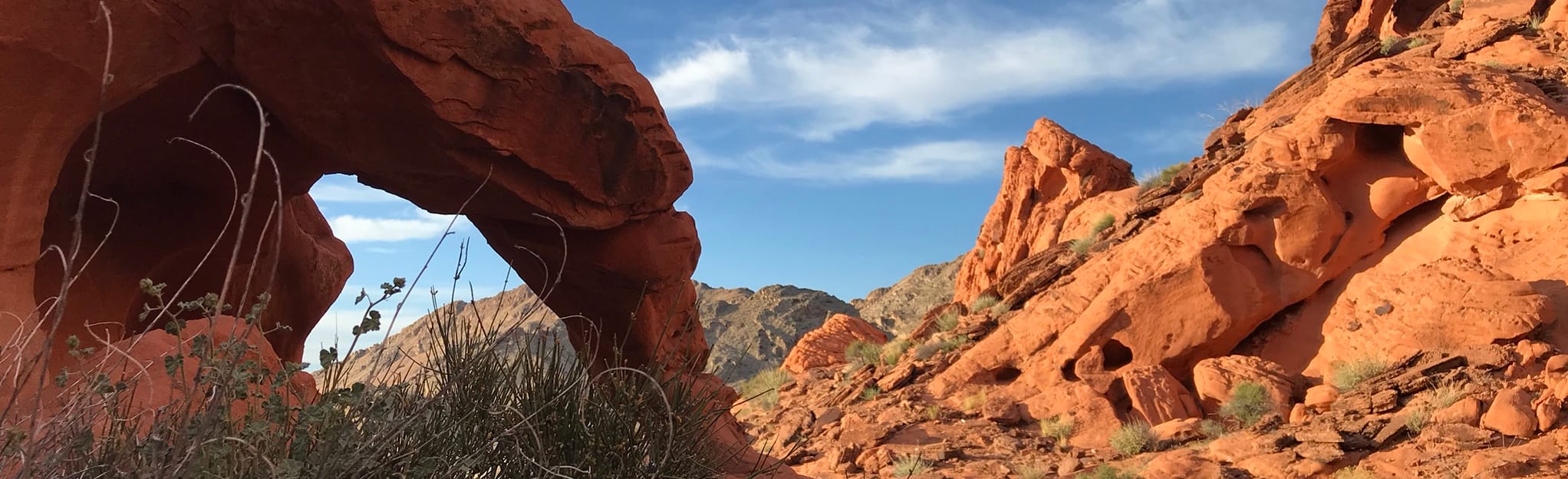 Redstone Dune Loop Trail, Nevada - 111 Reviews, Map | AllTrails