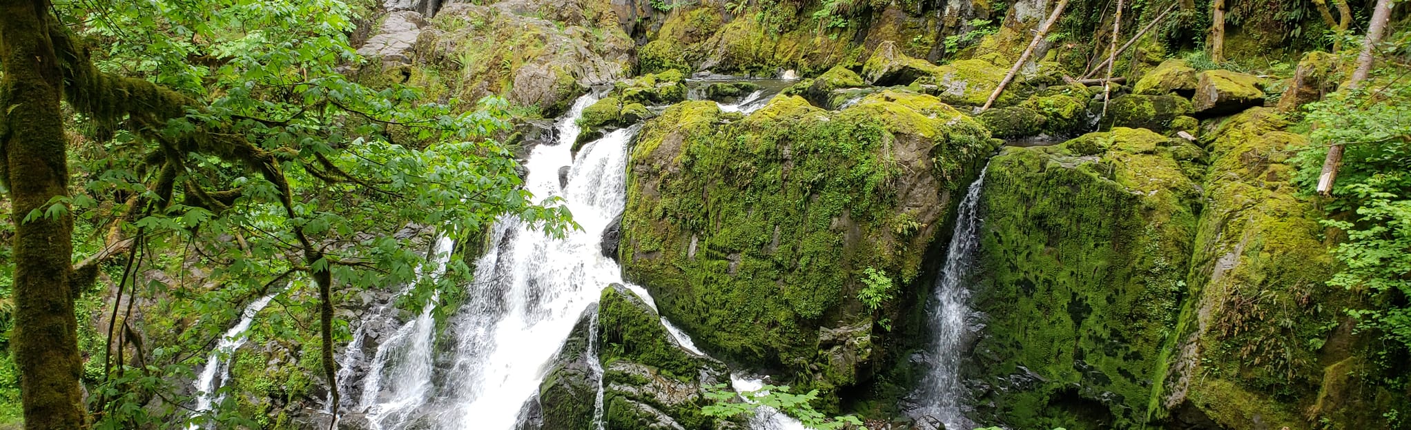 Little Mashel Falls via 1000, 1070 Road and Little Mashel Falls Trail ...