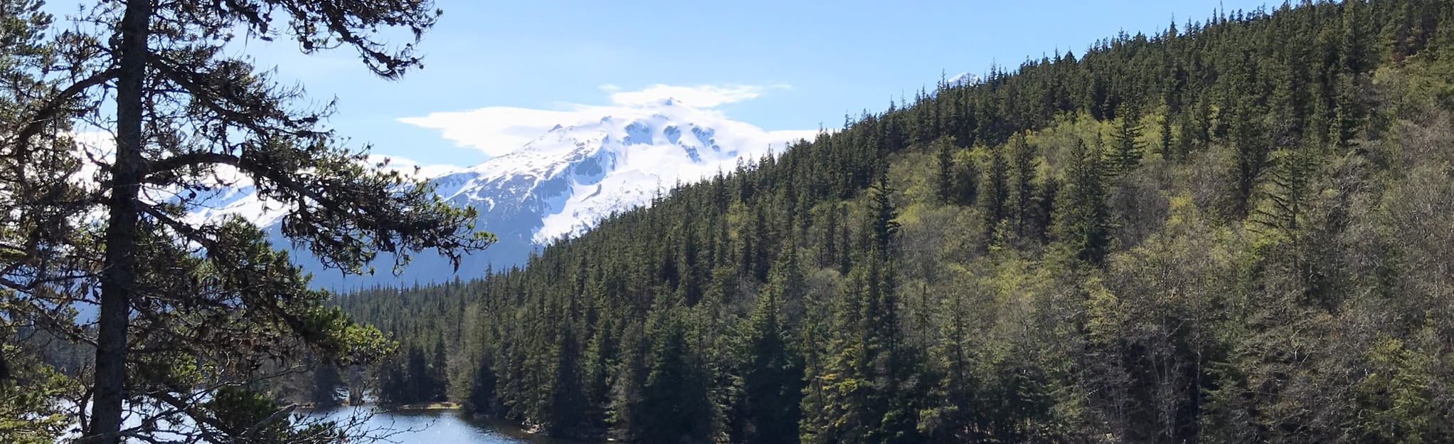 Lower Dewey Lake Trail, Alaska - 846 Reviews, Map | AllTrails