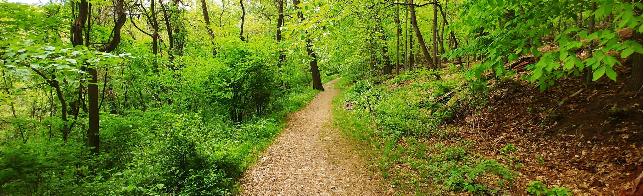 North Park Hybrid Loop Trail, Pennsylvania - 203 Reviews, Map | AllTrails